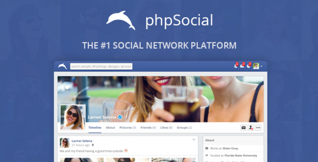 PhpSocial – Plataforma de Rede Social – Aparência do Facebook – Mercado D
